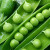 Peas: Surprisingly Good Souces of Phytonutrients and Protein