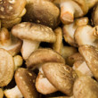 Shiitake Mushrooms Can Help Prevent Cervical Cancer